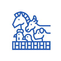 Random Animal Facts Generator